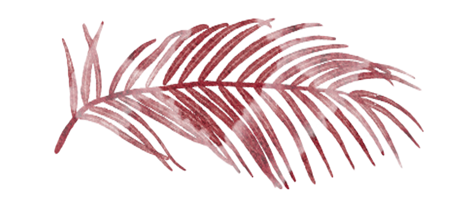 Red Fern Press welcomes new author Karson Brown to its roster – Red ...